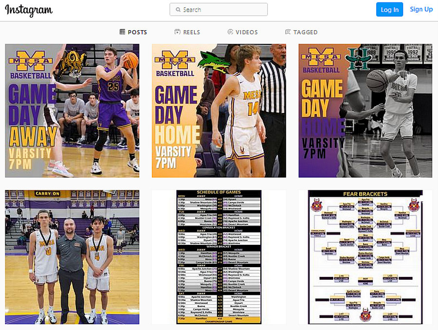 Mesa Jackrabbit Basketball